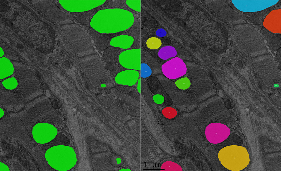 New page - Onward Assist